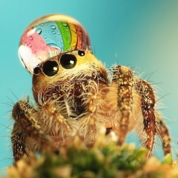 Emi's Closet (@_emi_lynn) | Poshmark